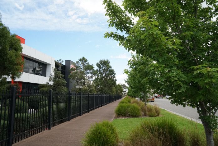 Draft Urban Forest Strategy And Greening Our Neighbourhoods Strategy