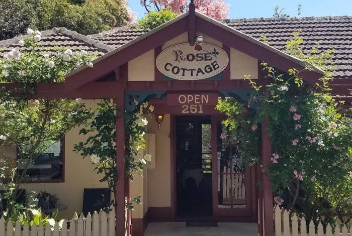 Social Connections for Seniors | Greater Dandenong Council