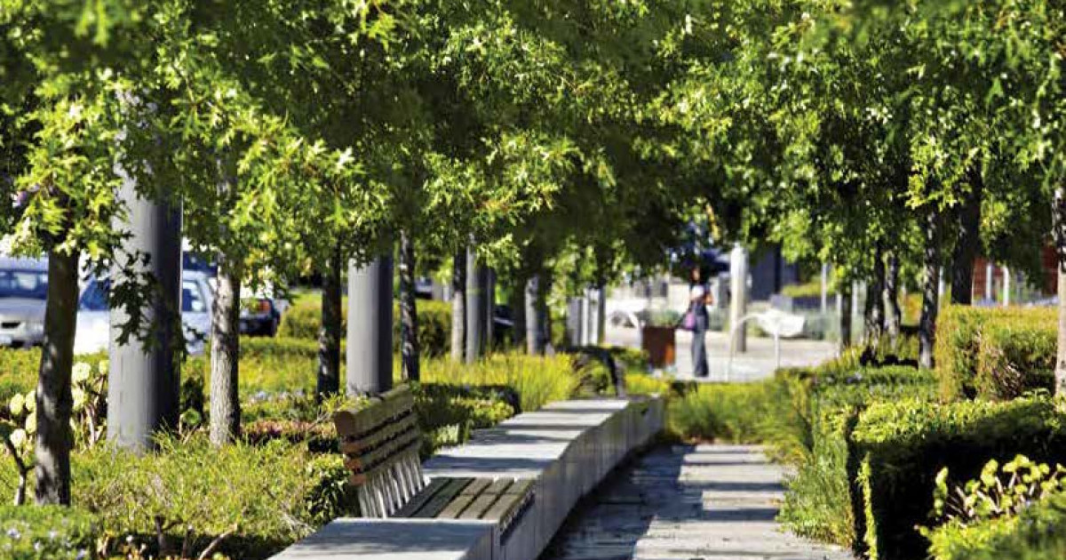 Greening Our City - Urban Tree Strategy | Greater Dandenong Council