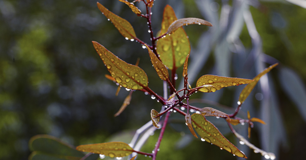 Springvale Reserve Hall | Greater Dandenong Council
