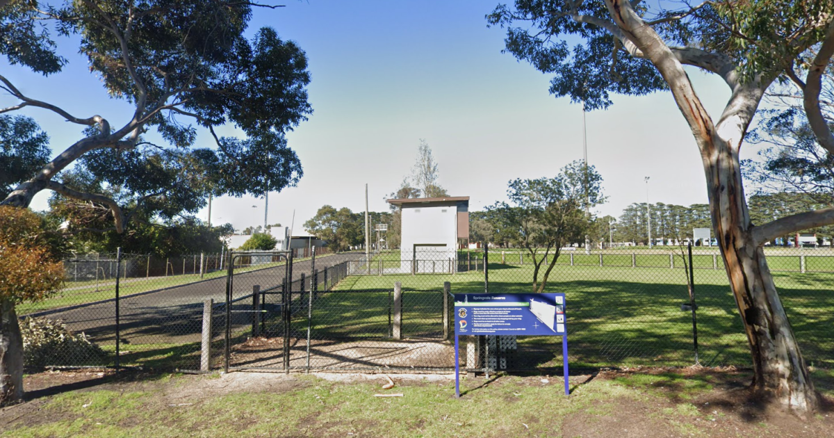 Springvale Reserve Revised Master Plan Consultation | Greater Dandenong ...