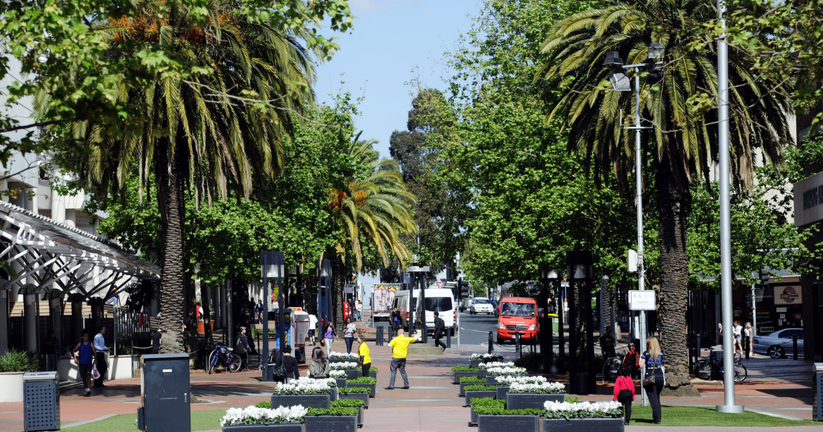 Activities Centres - 10-Year Tree Planting Plan | Greater Dandenong Council