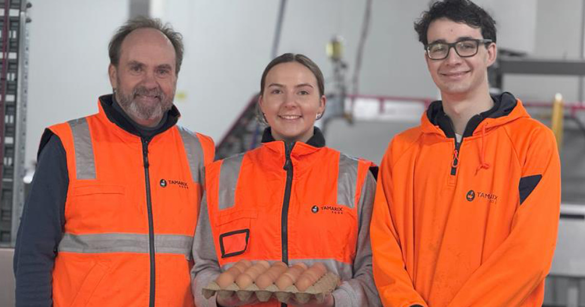 Tamarix - A Cracking Multi-Generational Success | Greater Dandenong Council